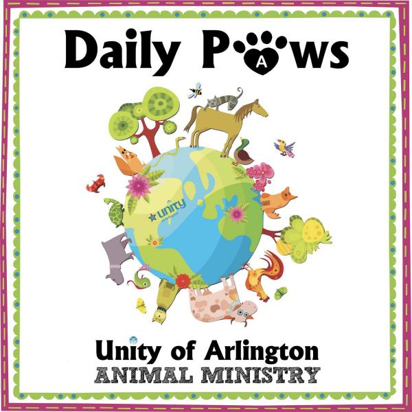 Daily Paws Animal Ministry | Unity of Arlington